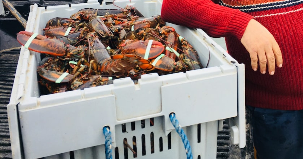 An almost exceptional season for Gaspé lobster boats – pdsconsulting.co.uk